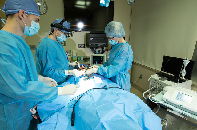 Office Tour of Galleria Oral and Maxillofacial Surgery in Roseville ...